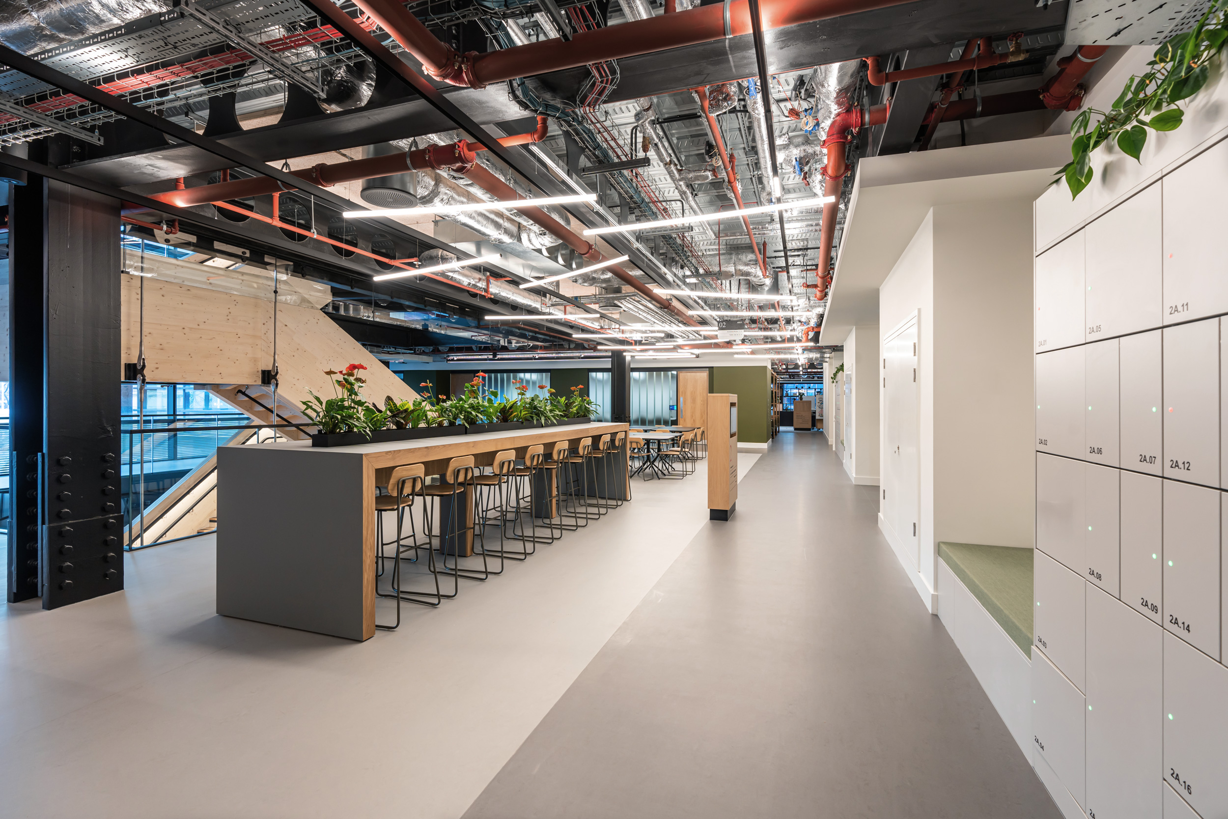 Values in light | XAL